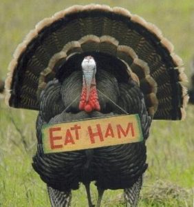 BLOGGISH: Thanksgiving